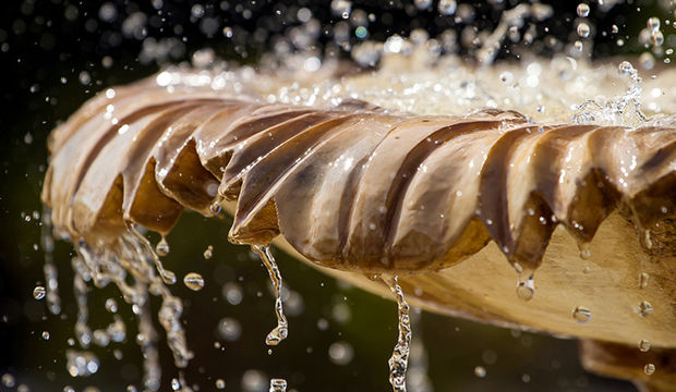Sebil nedir? | Yaşam
