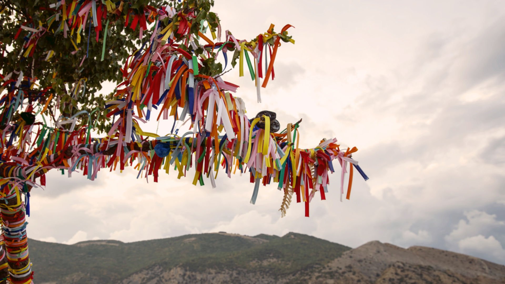 İlk roman ve balkan müziği festivali: Baba Fingo | Yaşam