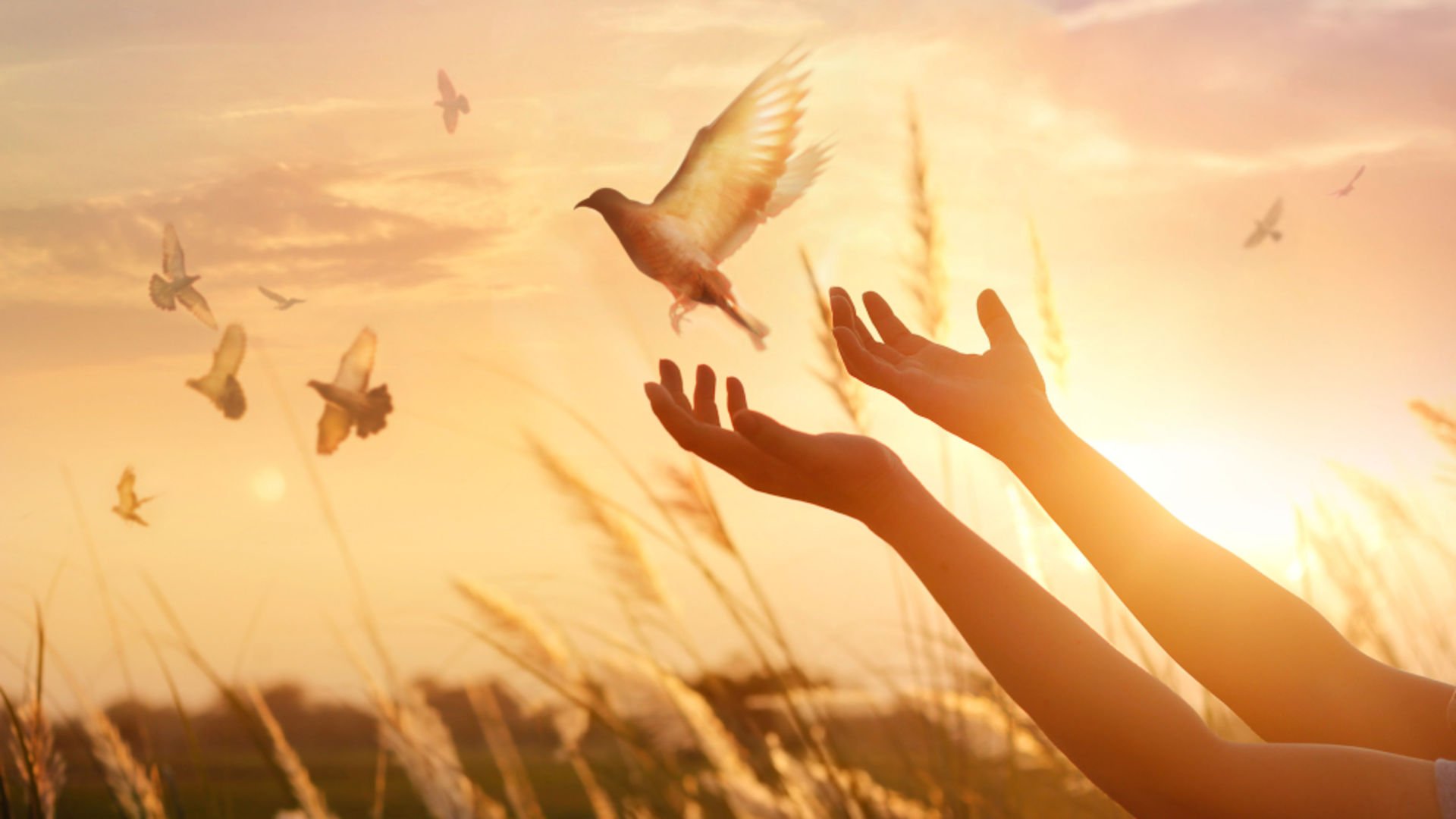 Huzur çok uzakta değil | Hayatın Sesi