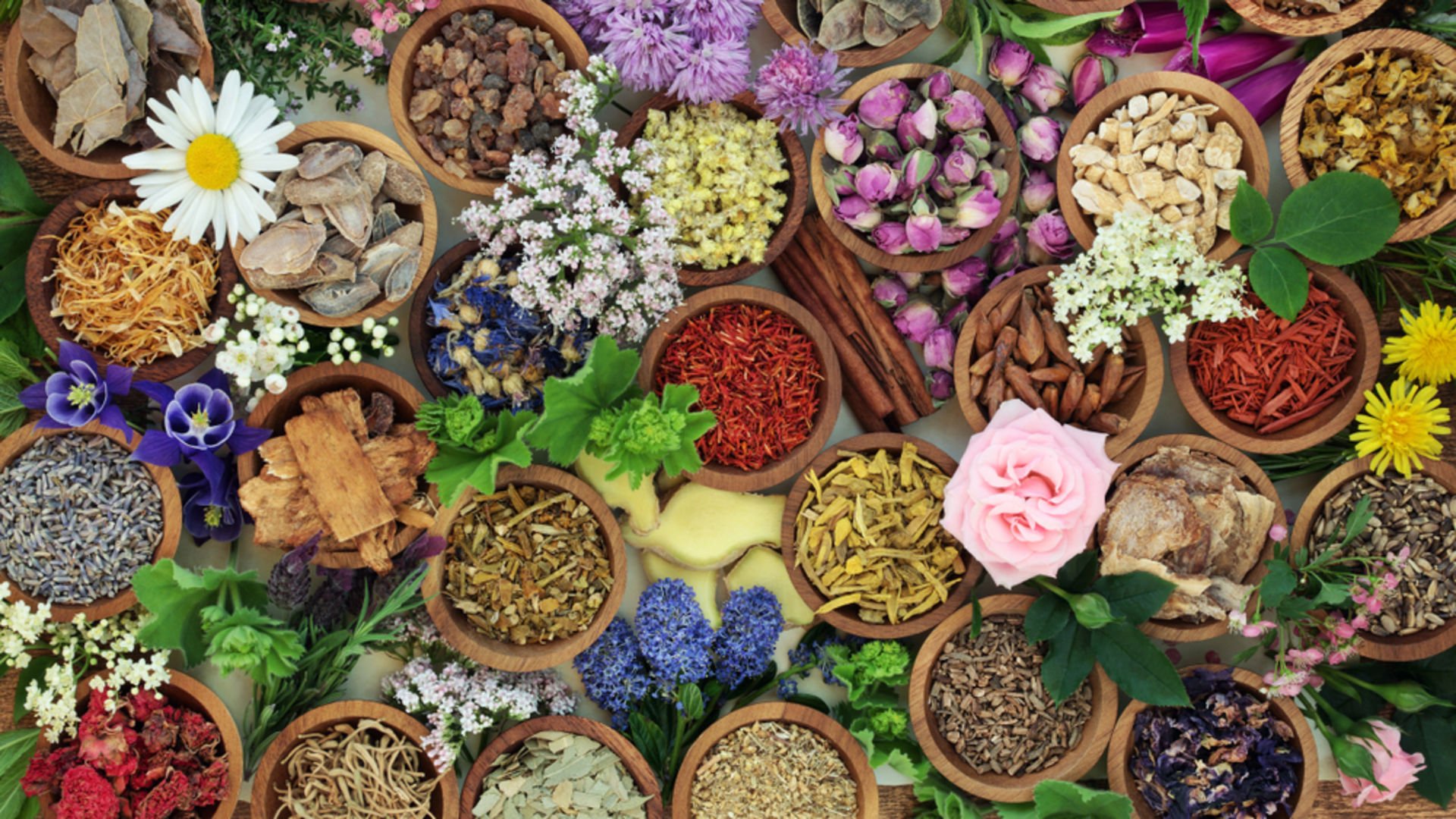 Bitkilerle güzellik | Güzellik