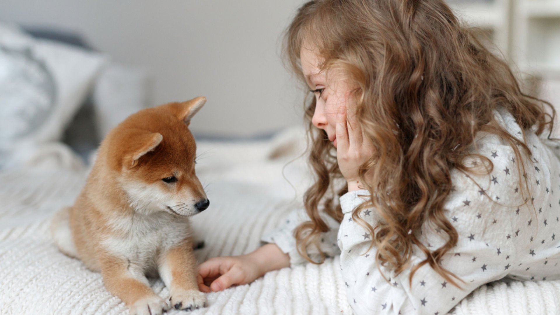 Evcil hayvan beslemenin çocuğa faydaları | Anne - Baba