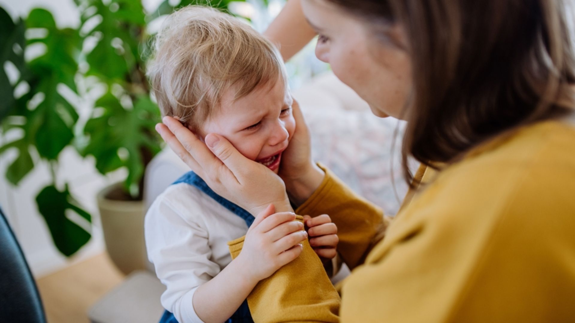 Çocuğunuza "sakin ol" demeyin! | Anne - Baba