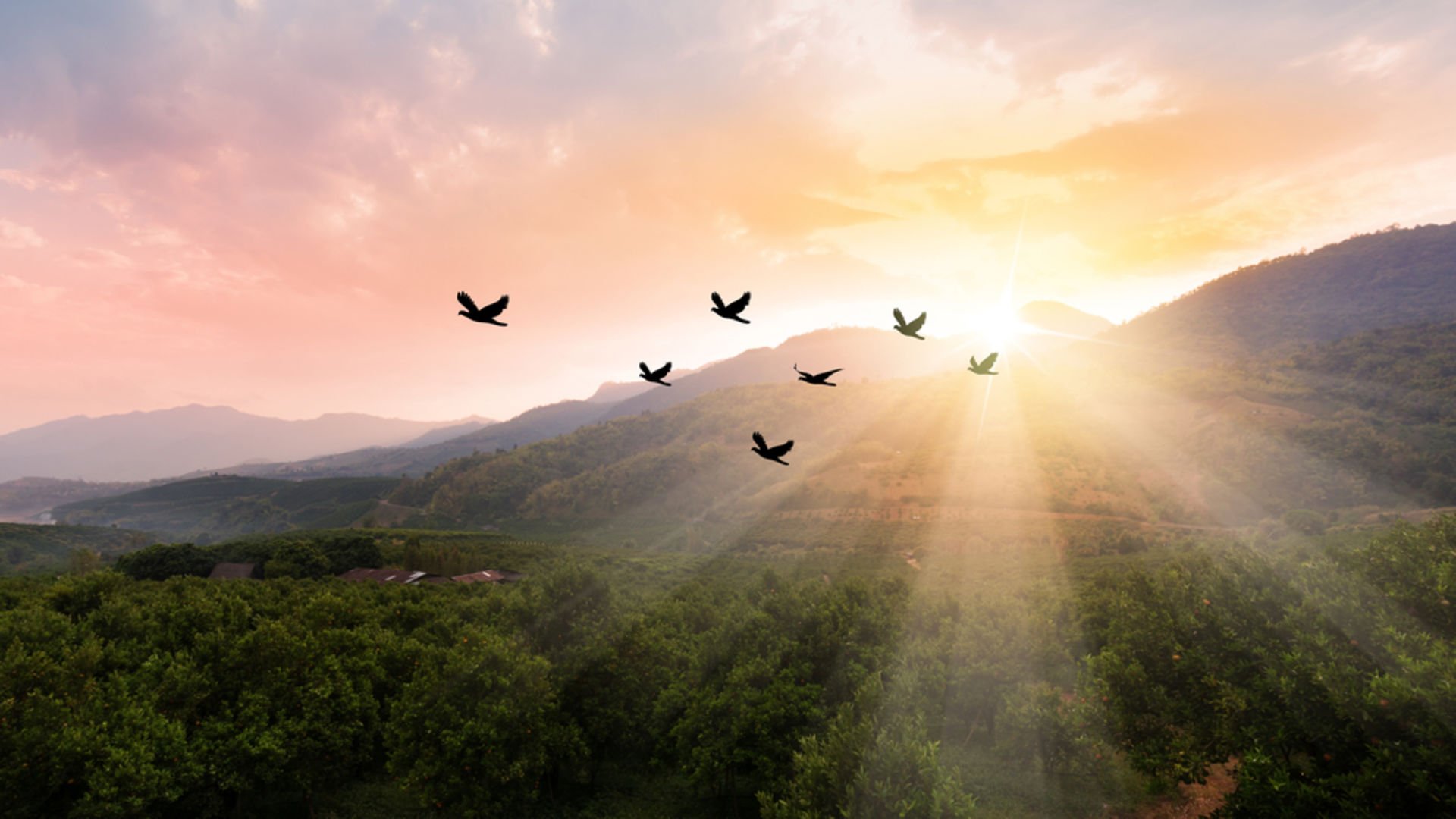 Mutlu olmak için alışkanlıklar yaratın | Sağlık