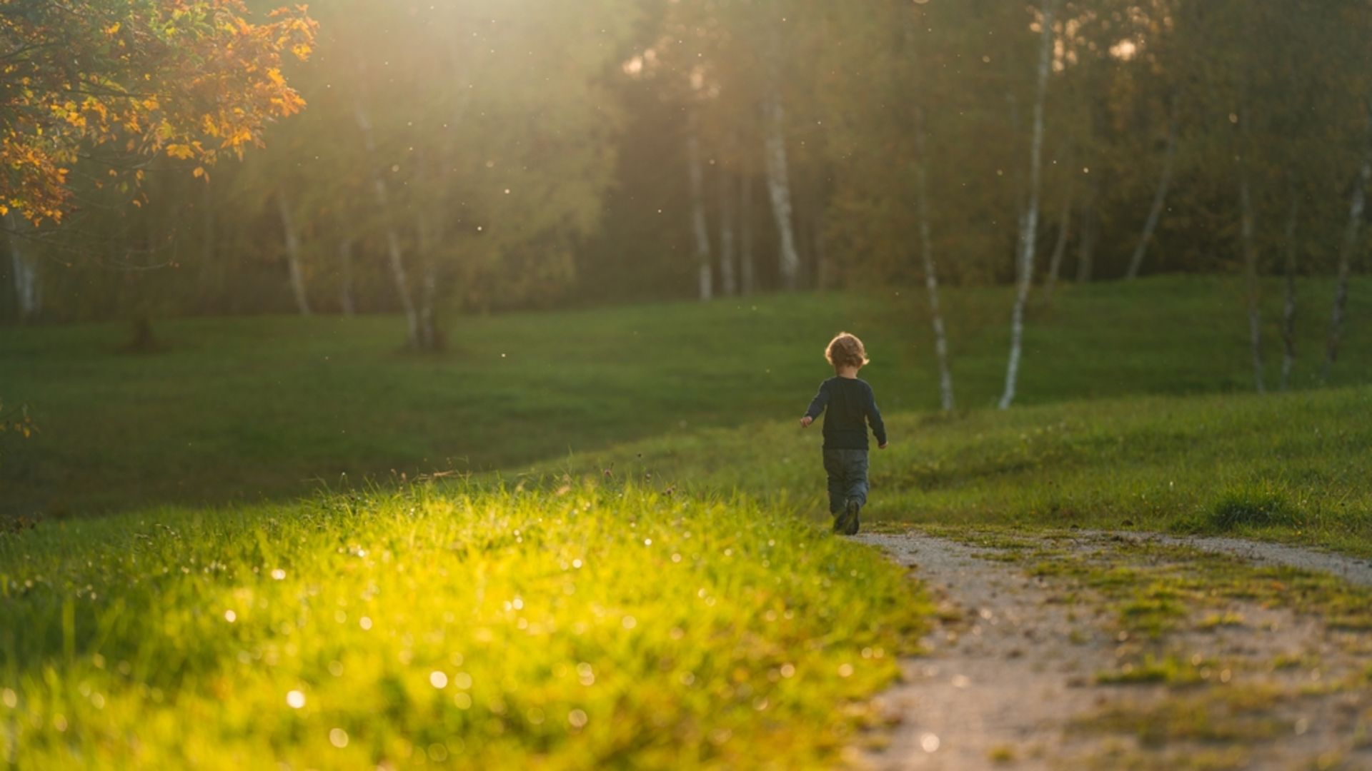 İnat eden çocukla nasıl başa çıkılır? | Anne - Baba